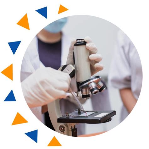 Course Ai And Chatgpt For Training And Onboarding Assistance