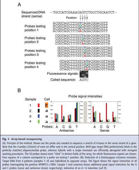 figure 1 from array based resequencing assay for mutations causing