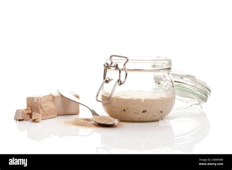 Different Types Of Yeast Fresh Pressed Dry Instant Yeast And Active Wheat Sourdough Starter