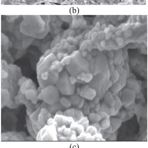SEM Images Nm Width Nm Height With Scale Bar At Nm And Download Scientific