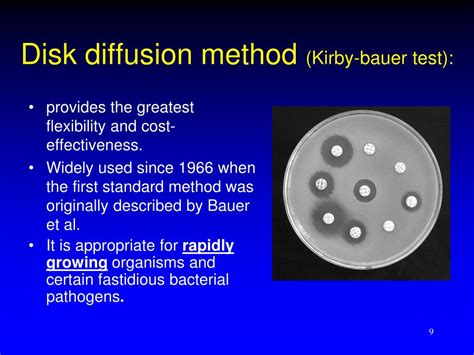 Ppt Standards For Antimicrobial Disk Susceptibility Tests Powerpoint