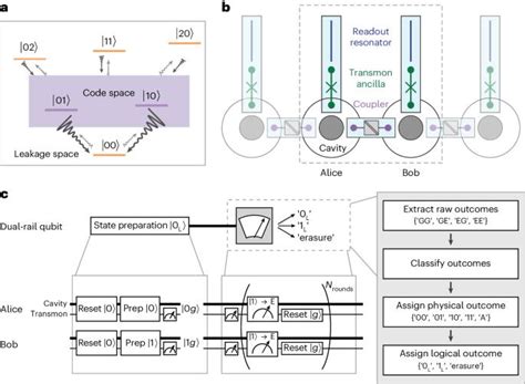 Michael Maxwell On Linkedin A Superconducting Dual Rail Cavity Qubit With Erasure Detected Logical