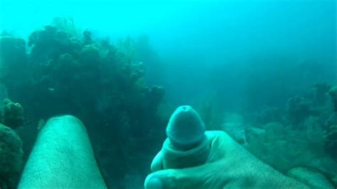 Vintage Fun Down Deep