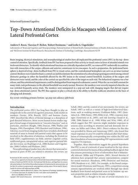 Pdf Top Down Attentional Deficits In Macaques With Lesions Of Lateral Prefrontal Cortex