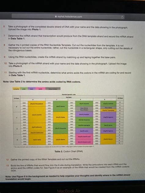 1 How Many Codons Were In The MRNA How Many Amino Chegg Com