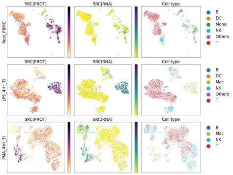 Multipro™ Human Fixed Cell Immune Profiling Antibody Cocktail G900004 Proteintech