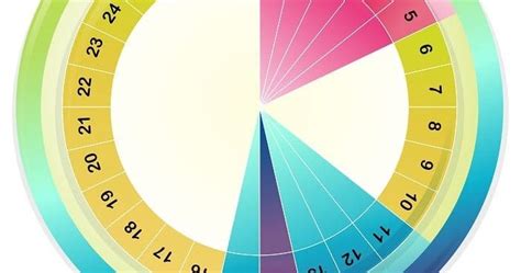 Calculadora De Días Fértiles Todos Los Detalles Que Debes Conocer