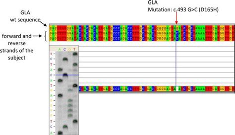 Alignment Of Gene Sequences Portion Of The Sequence Of Exon 3 Of The