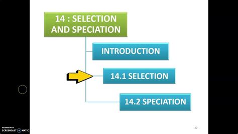 Lecture Chapter 3 Selection Part 2 Youtube