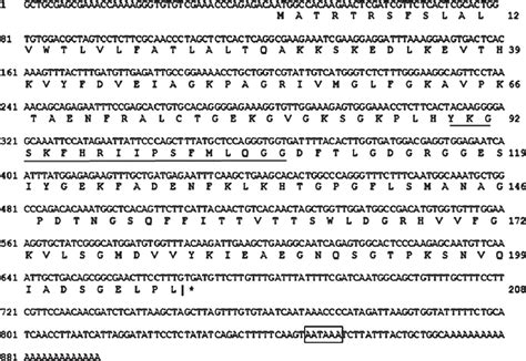 Figure 1 From Isolation And Characterization Of Cdna Encoding Cyclophilin Gene From Dormant Bud
