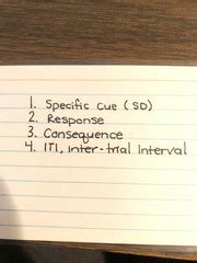 RBT Examples Quizlet