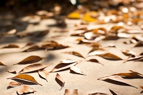 Premium Photo Close Up Of Ash Covered Objects Casting Shadows On The