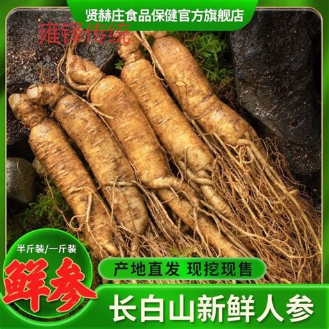 长白山新鲜人参批发正宗六年根特大人参现挖现售带土鲜参泡酒煲汤2 7e3 4 5根鲜人参 半斤装 【图片 价格 品牌 报价】 京东