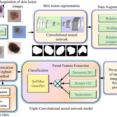 Schematic Representation Of The Proposed Classification Model