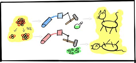Schrödingers Cat The Quantum LÄnd