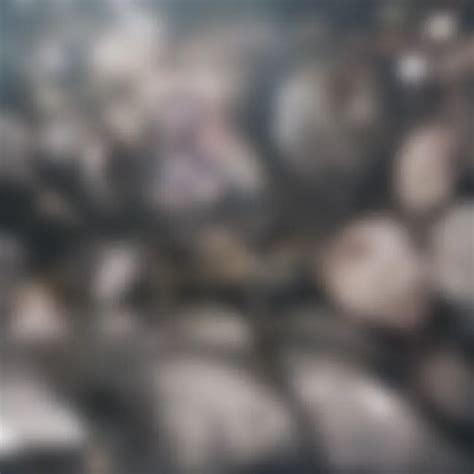 Phases Of Sourcing Cycle