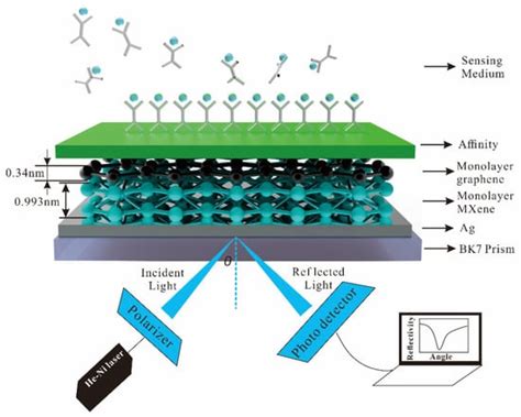 Biosensors Free Full Text Improved Differential Evolution Algorithm For Sensitivity