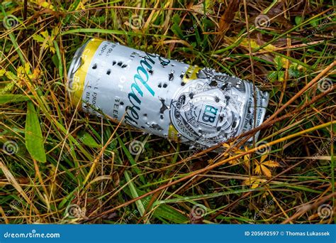 20 Gauge Buckshot Shotgun Shells Editorial Image