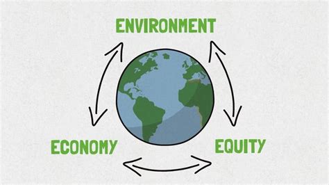 Understanding The Core Principles Of Environmental Sustainability