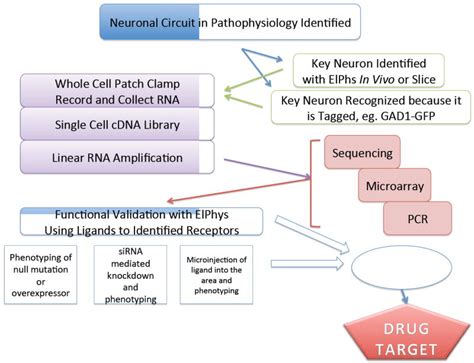 Drug Targets Single Cell Transcriptomics Hastens Unbiased Discovery Pmc