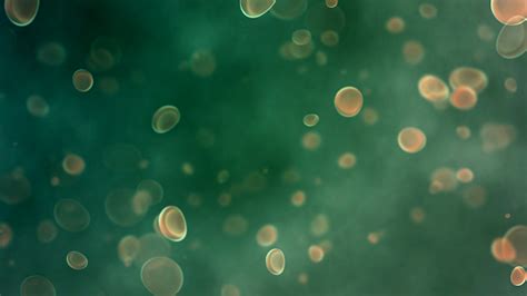 혈액 세포 박테리아 그리고 바이러스 정 맥을 통해 여행 물 과학 생물학 혈액 세포 및 바이러스 개념에 거품 공기 입자 혈류 심장혈관계에 대한 스톡 사진 및 기타 이미지