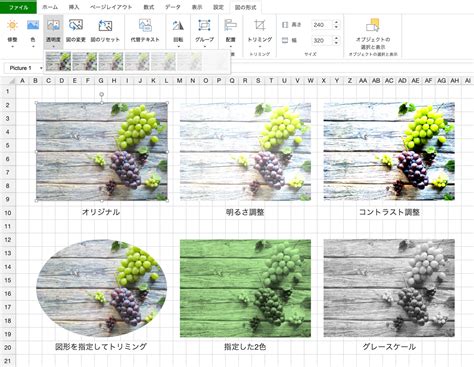 グレープシティ、新ピクチャ機能を搭載したjavascriptライブラリ「spreadjs」の新版「v152j」を10月26日にリリース