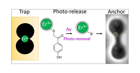 Photochemical Anchoring Of Singly Er3 Ion Doped Nayf4 Nanoparticles For Scalable Fabrication Of