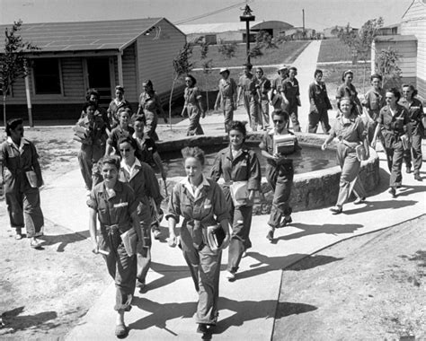 Women Of The World War Ii Wasp Program See Pilots Training