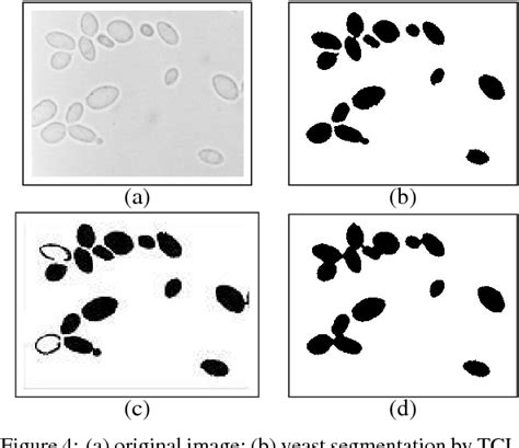 Figure 1 From Comparing Yeast Cells Segmentation Through Hierarchical Trees Semantic Scholar