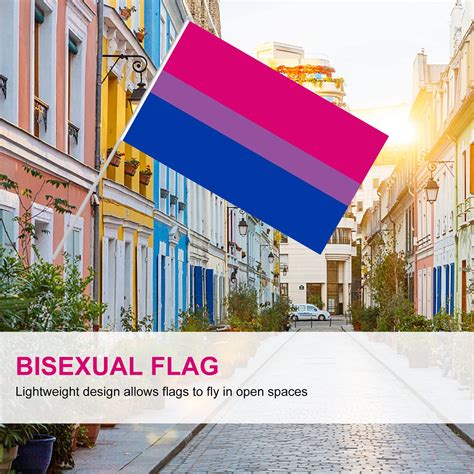1 Pcs Bisexual Flag Decorations Bisexual Flagsbuntingsstickers