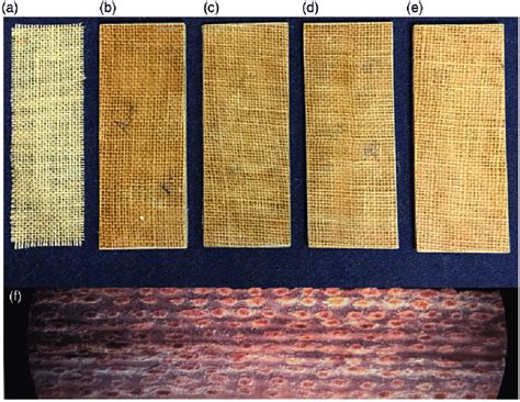 Photograph Of A Reinforcing Jute Fabric B Sample S2 C Sample Download Scientific