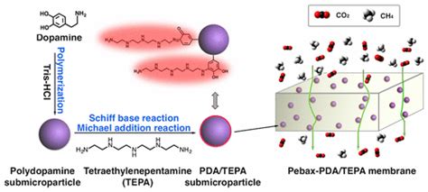 Embedding Molecular Amine Functionalized Polydopamine Submicroparticles Into Polymeric Membrane