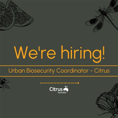 Lucy Tran Nguyen Posted On Linkedin