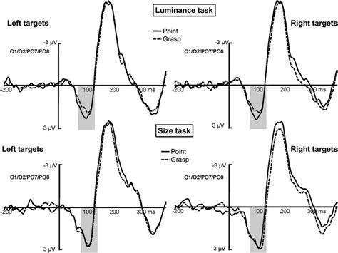 Grand Average Erp Waveforms For Left And Right Targets Separately In Download Scientific