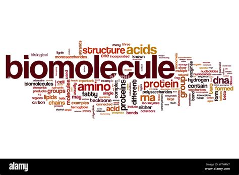 Biomolecules Quiz 12th Grade Quiz Wayground Formerly Quizizz