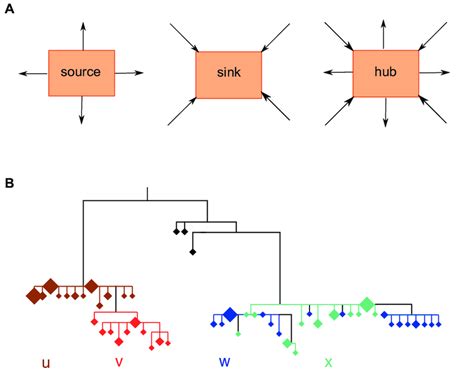 analysis aims and sketch of deep sequence phylogenetic data to address