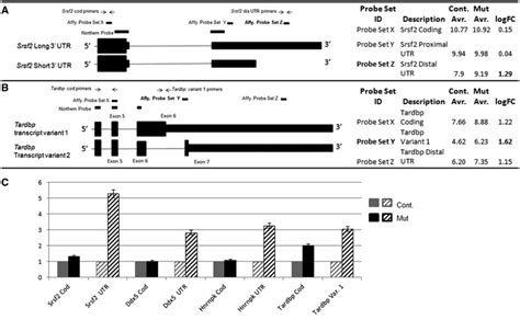 Detailed Examination Of Affymetrix Probe Sets Yields Unexpected Download Scientific Diagram