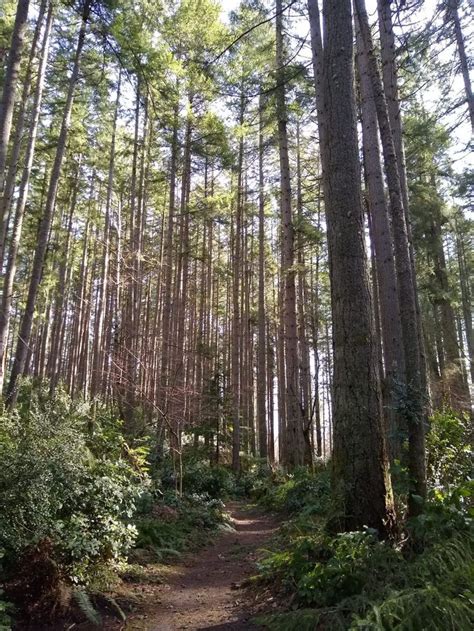 Vashon Island Hiking With Or Without A Car Top Left Adventures