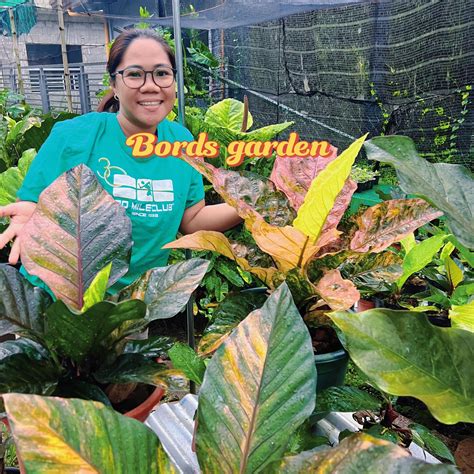 Wild Ampalaya ☺️ Jen Torres Abando Facebook