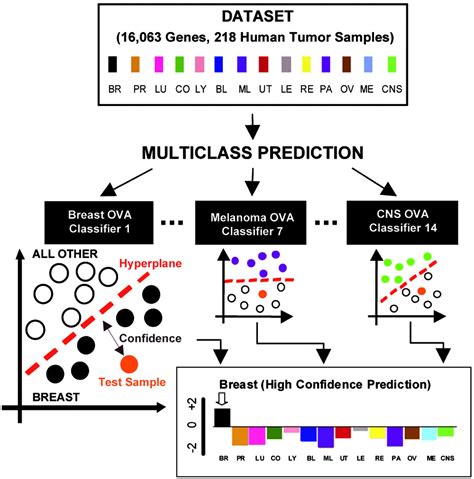 Multiclass Cancer Diagnosis Using Tumor Gene Expression Signatures Pnas