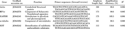 Primer Information And Amplification Efficiency Of The Five Selected Download Table