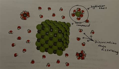 Lab Quiz Flashcards Quizlet