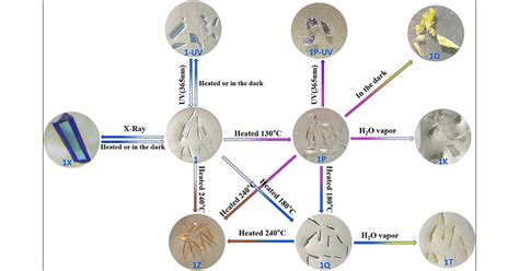 A Multistimuli Responsive Crystalline Cdii Viologen Coordination