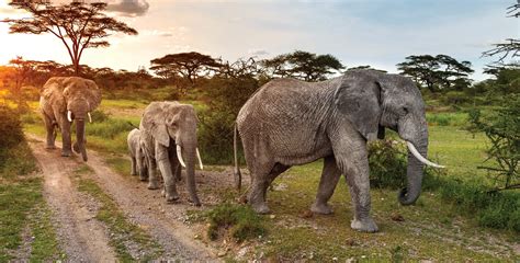 Sap Connect 2025 Modernize Hr And Payroll Solutions Epi Use