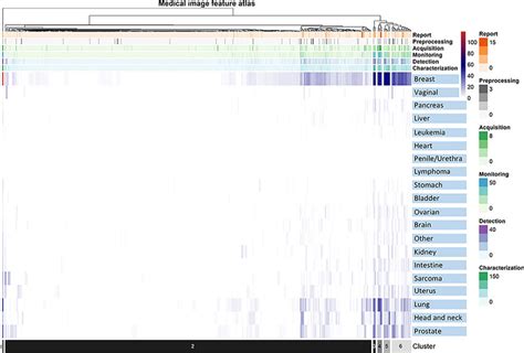 Unsupervised Hierarchical Clustering Of Medical Imaging Meta Features Download Scientific