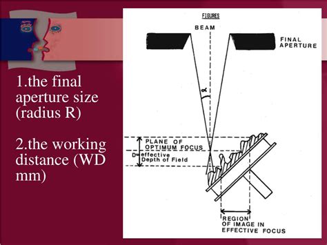PPT Factors Affecting The Depth Of Field For SEM PowerPoint Presentation ID 3222365