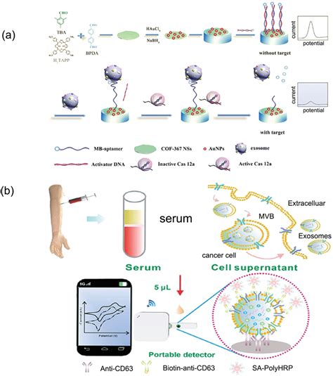 Examples Of EV Detection Using Electrochemical Sensors A Schematic Download Scientific Diagram