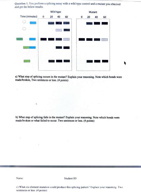 Question 1 You Perform A Splicing Assay With A Wild