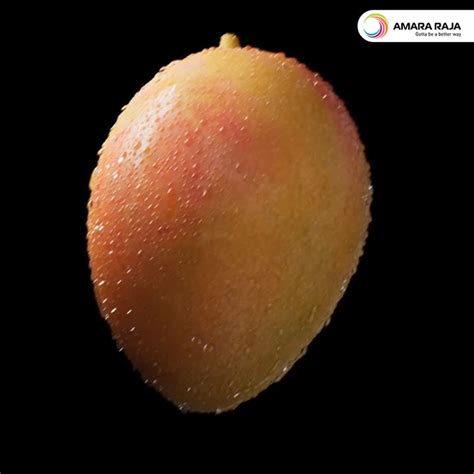 Galla Foods On Linkedin Weareinyourlife Gallafoods Amararaja