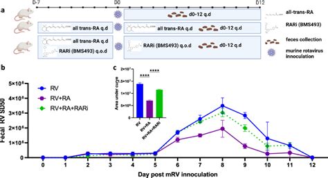 Direct Retinoic Acid Ra Administration Impeded Rv Infection In A